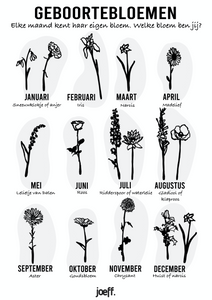 Geboortebloemen zwart mdf | Joeff